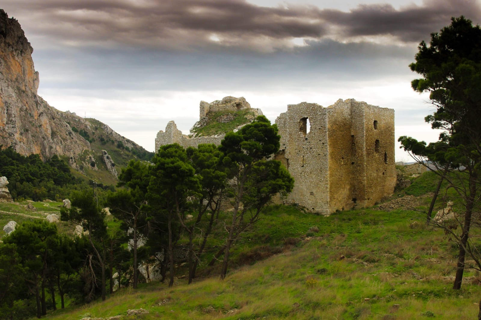 Fungo Ferla Fest Caltavuturo due giorni tra escursioni e degustazioni ...