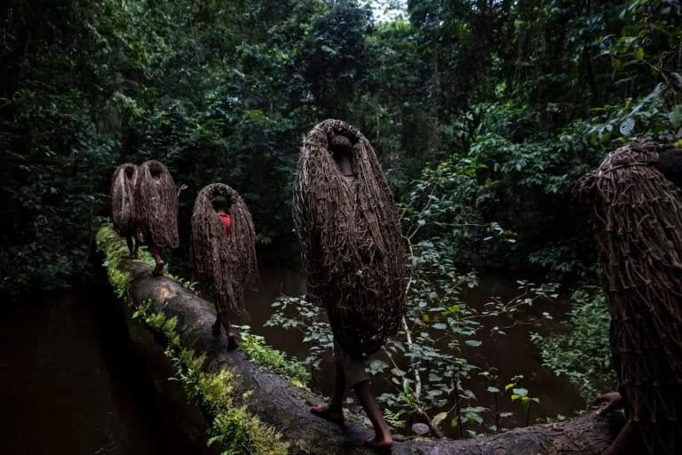 Aree protette in Africa: importanza e differenze nelle percezioni ...